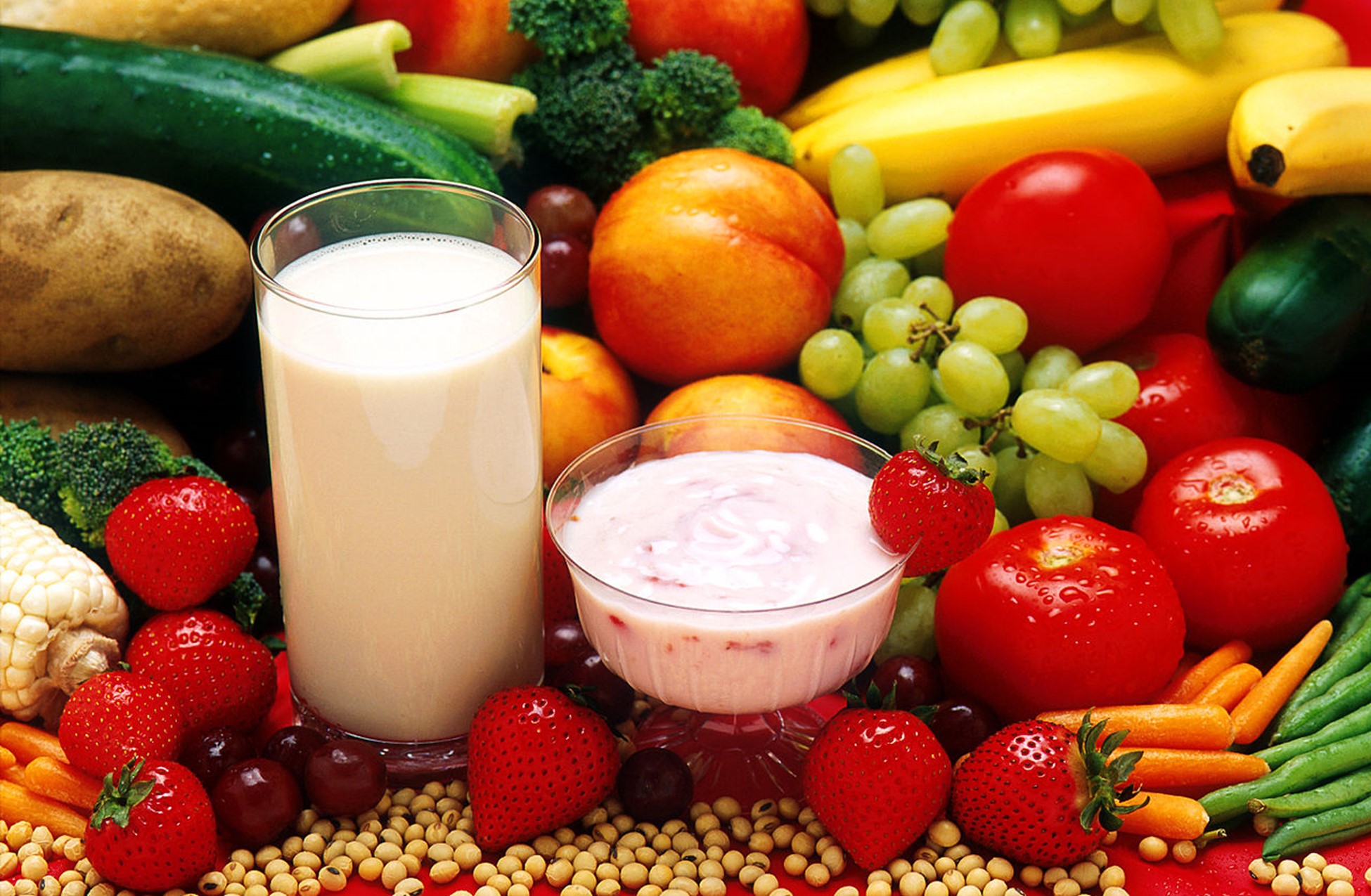 How To Prevent Obesity | The Temple for Personal Development & Success